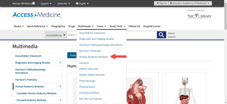 New 3D Anatomy on AccessMedicine: BioDigital Focused System Modules ...